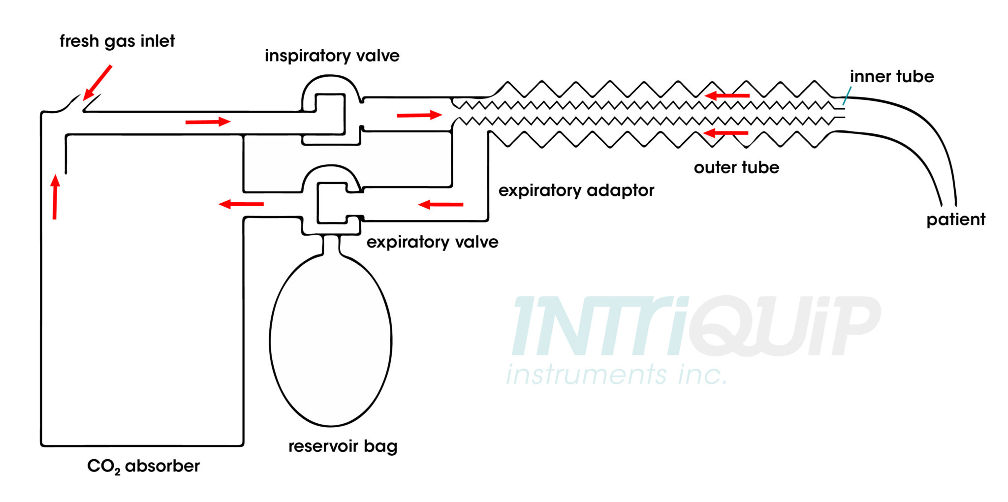 Vet Anesthesia Circuits Explained with PDF Guide: Non-rebreathing vs ...